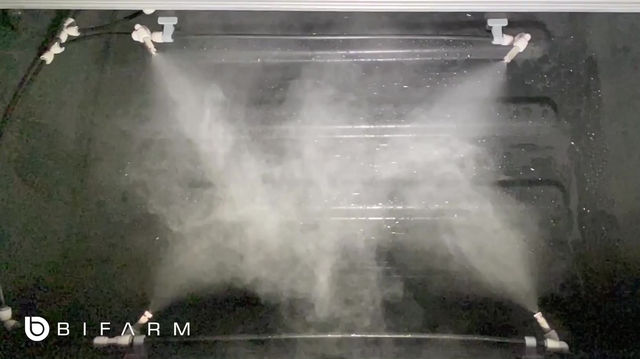 How Aeroponics Works