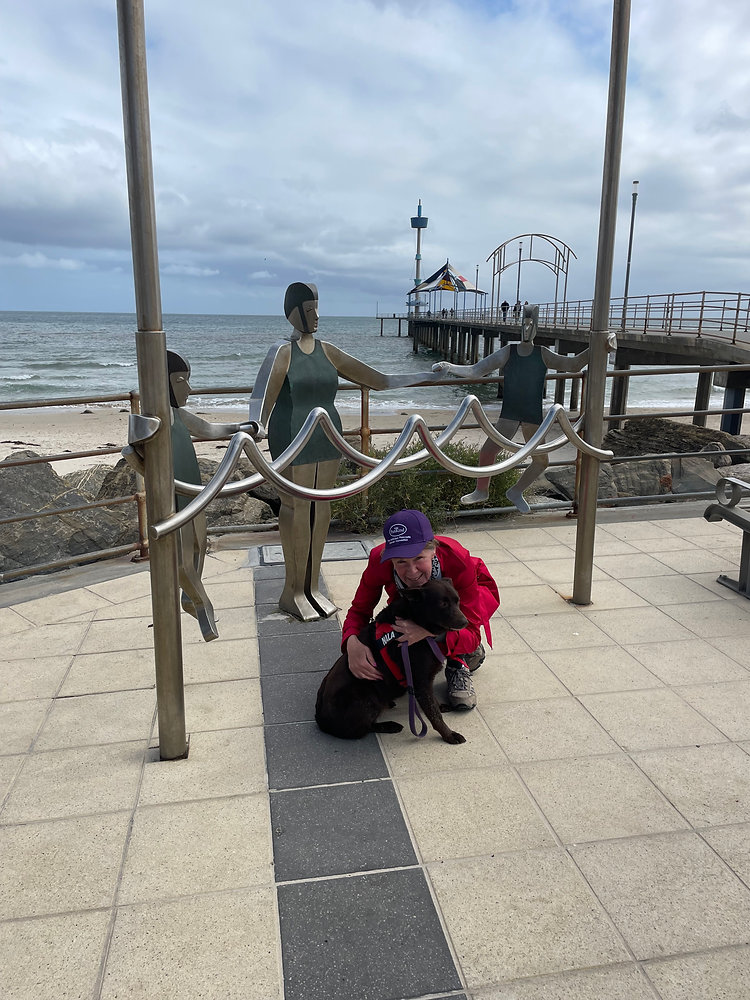 Pankind Walk Update!