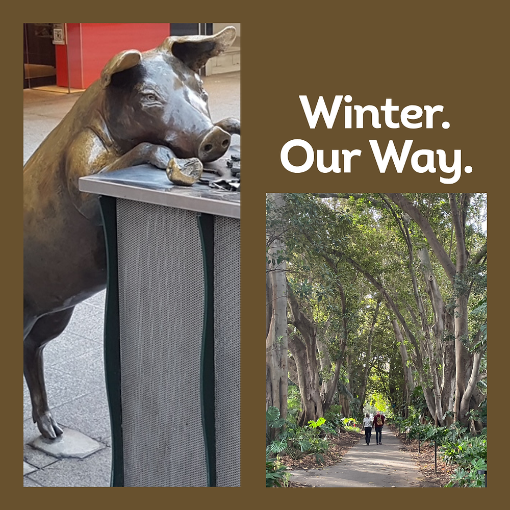 Winter. Our Way. South Australia