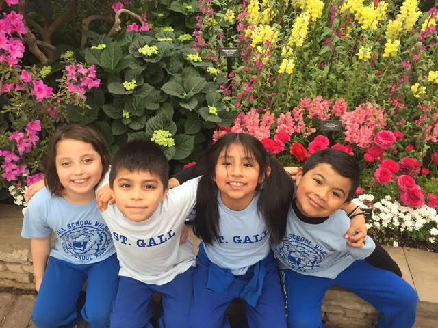 Home | St. Gall School