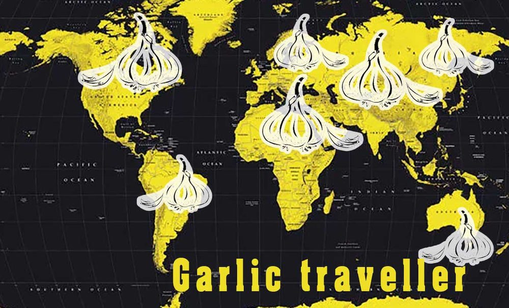 What are the Origins of Garlic - the World Traveller?