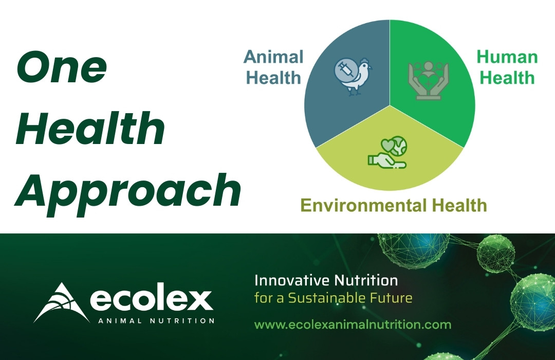 One Health In Animal Agriculture—Integrated Disease Prevention