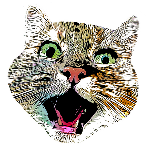 Concerned Kitty - 2" Waterproof Vinyl Sticker | Banana Planners