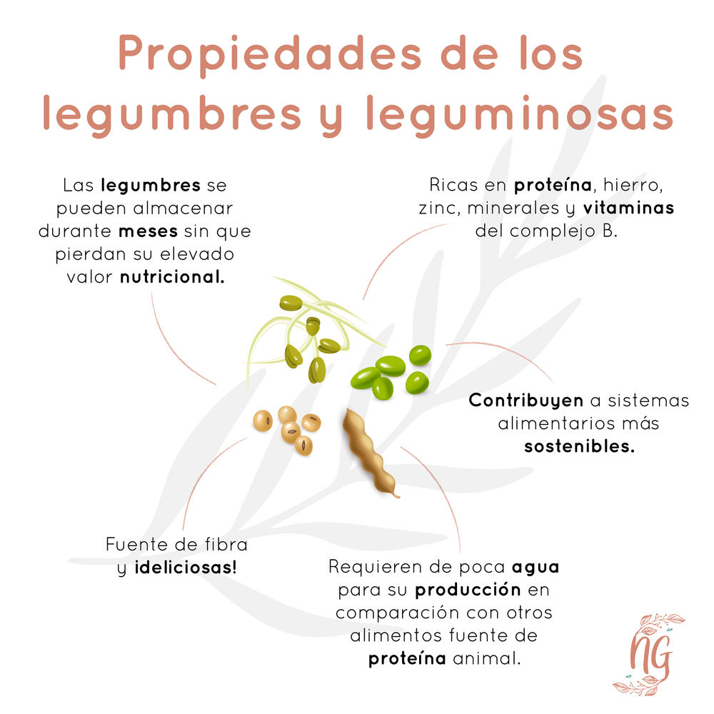 LEGUMBRES Y LEGUMINOSAS 🍃
