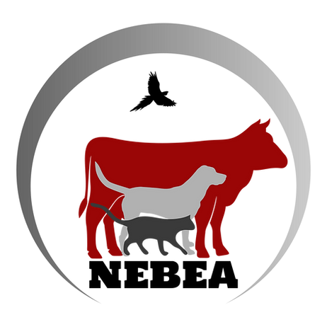 NEBEA | Núcleo de estudos em Bem-estar e Etologia Aplicada