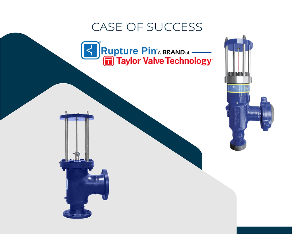 Válvula Rupture Pin, servicio de mantenimiento correctivo y ensayo ...