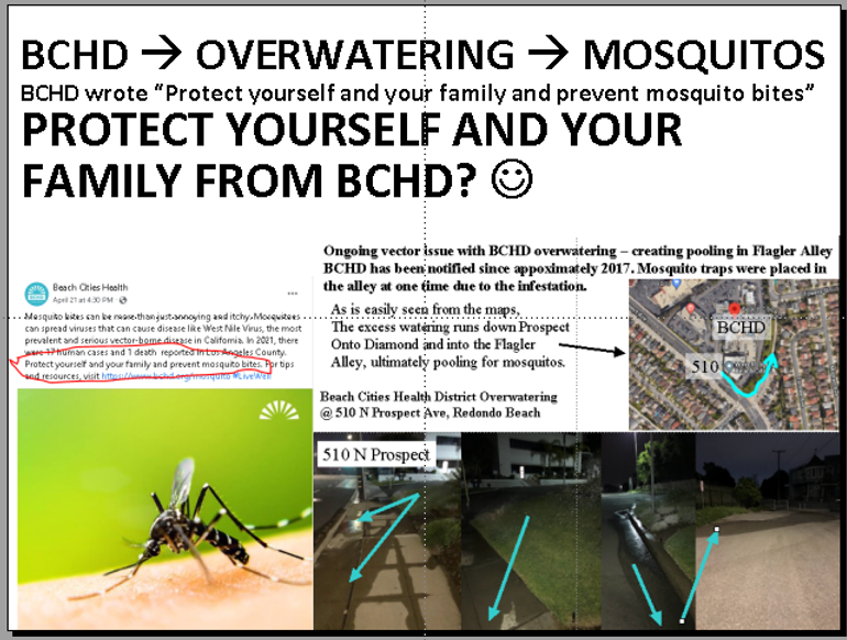 Does BCHD have its own Mosquito Breeding Program? Seems like it.