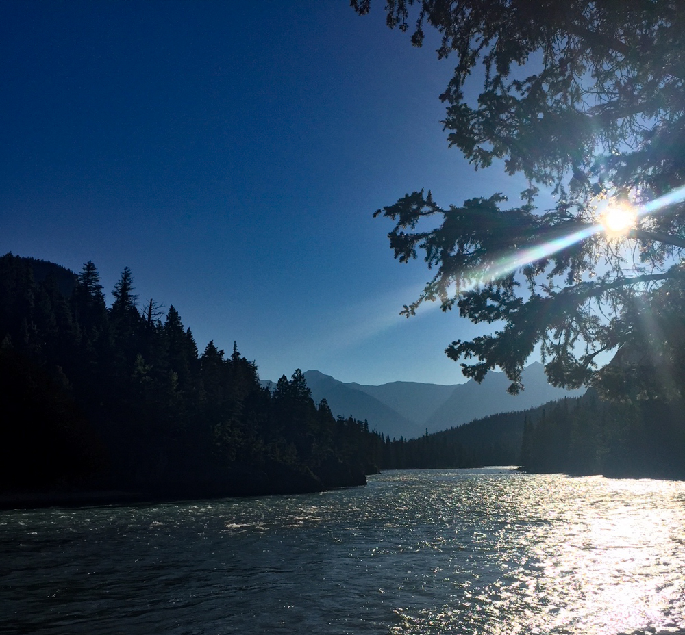 HOME | Ivy Bell and Company