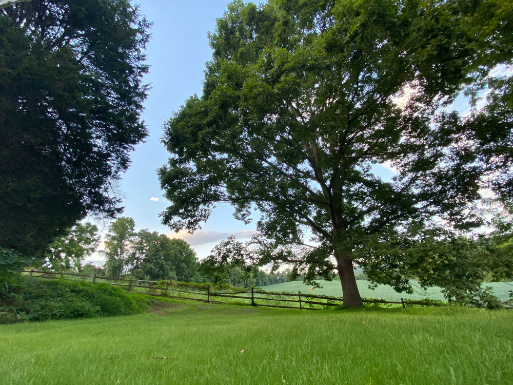 Why the Name Fairlight?