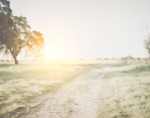 Predestined Love | Christian Fiction | Marshalee Patterson