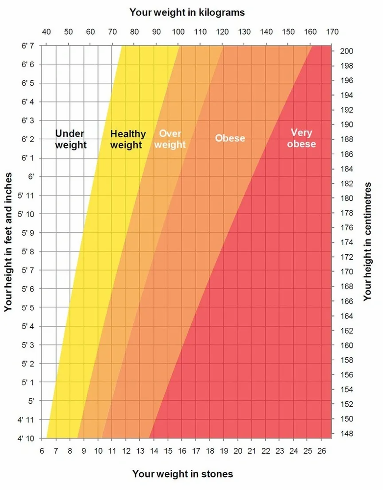 The BMI Scale BPM And Blood Pressure The BMI Scale BPM And Blood Pressure