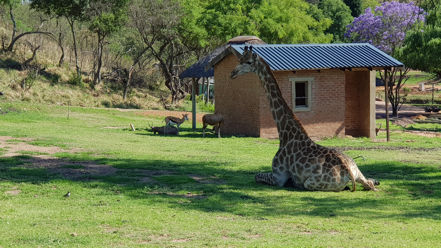 Surrounds | Ruah Park Camping & Outdoor