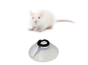 Animal Jackets | Rodents | Ludomed Equipment Inc.