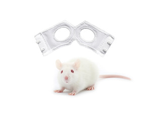 Animal Jackets | Rodents | Ludomed Equipment Inc.