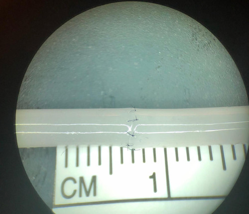 Silicone vessel simulator (2.2mm x 70mm) | MicrosurgeryTraining