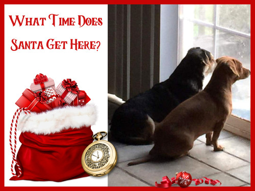 What Time Does Santa Get Here? | LGCR