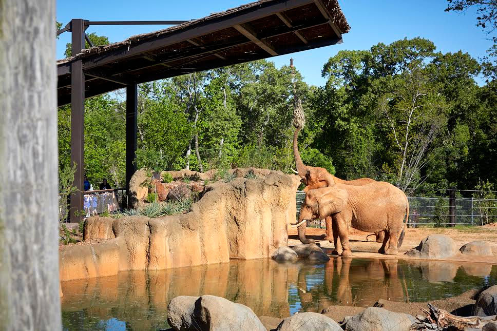 A Family Tradition: A Conversation with Hayes Caldwell, Director of the ...