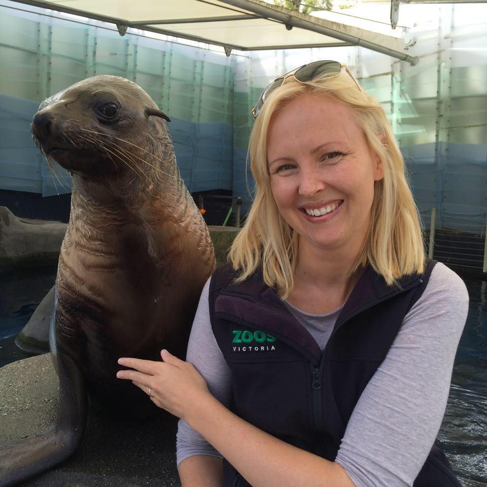 Connect, Understand, Act: A Conversation with Rachel Lowry, Director of ...