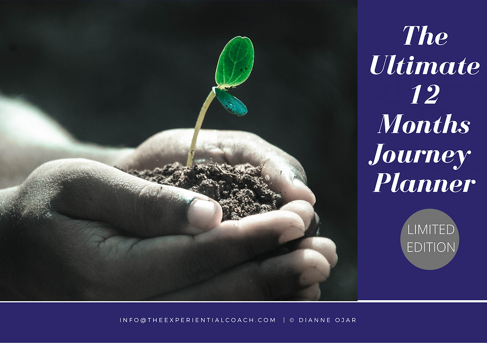 The Ultimate 12 Months Journey Planner - Limited Edition