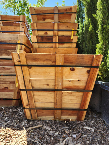 Wooden planter box 36 inch square | Trees Outlet Online