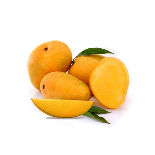 Manila Mango | Trees Outlet Online