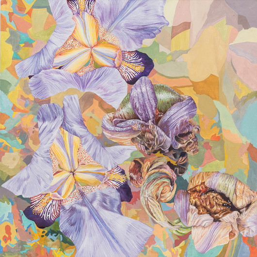 ACTANT | Daniela Naomi Molnar