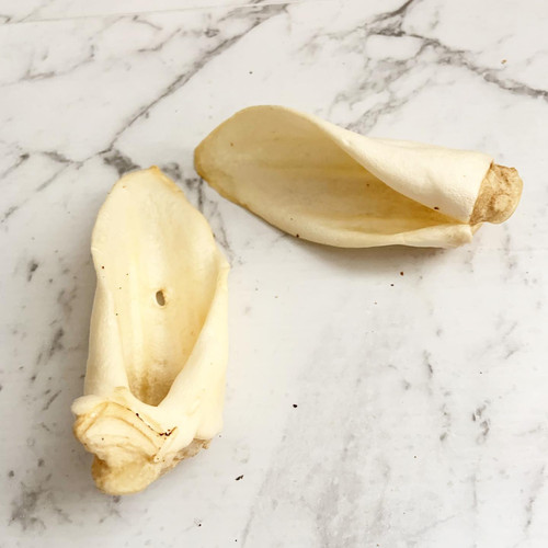 Lamb Ears | bonesandwhiskers