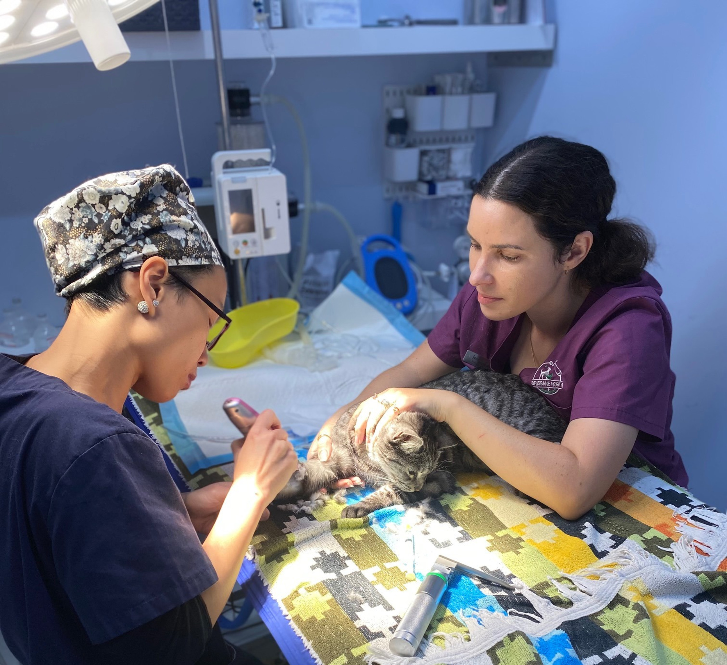 Contact Us | Brisbane North Mobile Vet | Boondall Clinic & At Home Vet ...