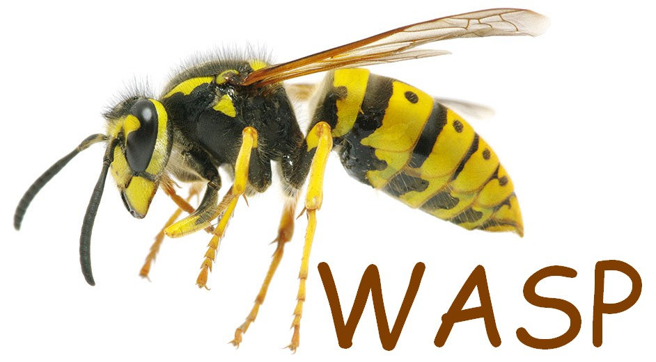 Wasp 6.50 - released.