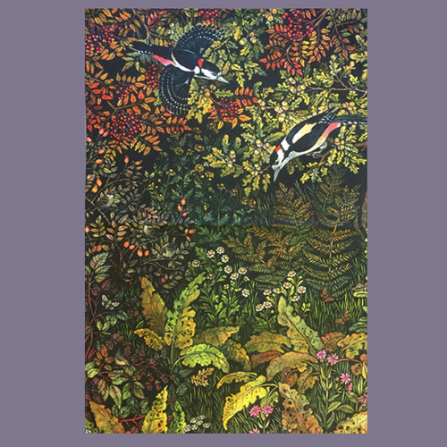 Great spotted woodpecker Tea towel featuring Barbara Winrow original ...