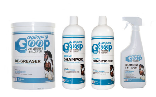 Hi Shine STARTER 4 | GallopingGoop.co.uk