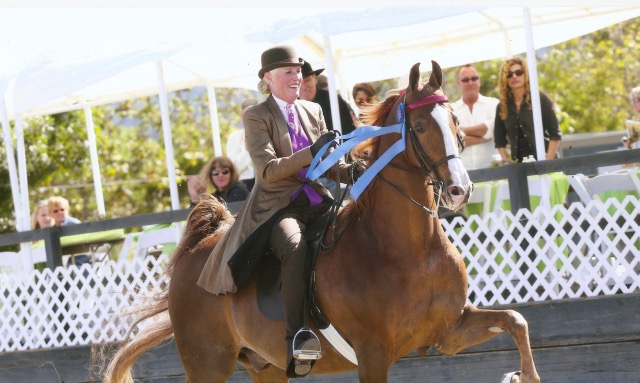Horse riding lessons | Monarch Stables | Santa Rosa