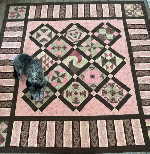 Sampler Quilt | Pieces to Treasure