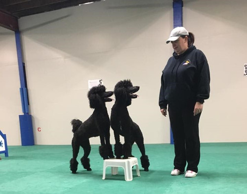 Drop-ins Individual | NADA Inc.