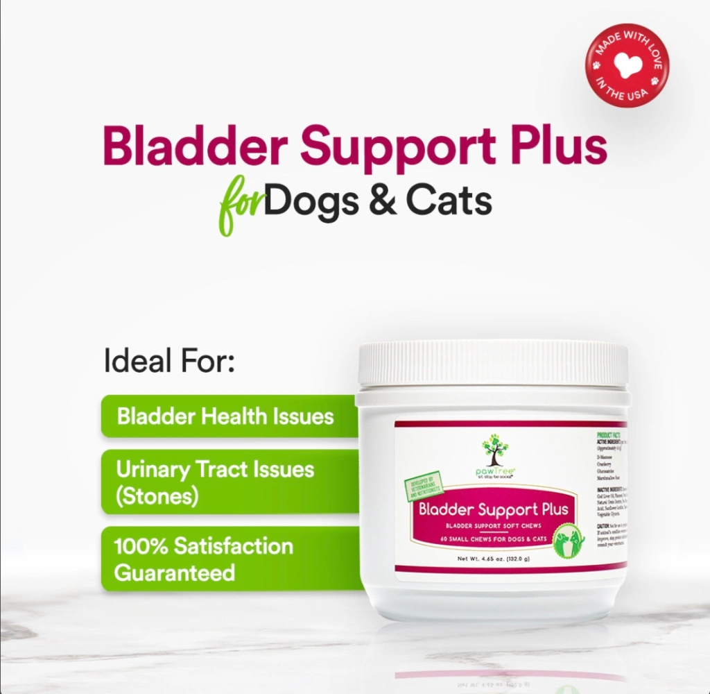 Bladder Support For Dogs And Cats