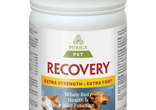 Recovery SA Extra Strength - Powder | Fido & Felix Foods