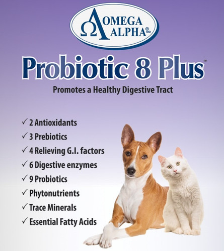 Omega Alpha Probiotic 8 Plus | Fido & Felix Foods