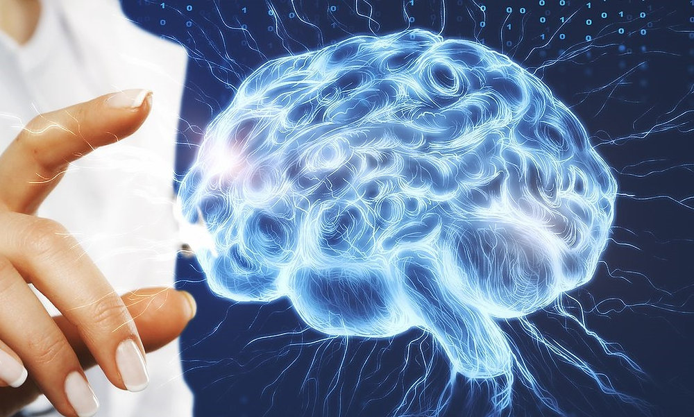 Stress Awareness Insight #3 - Neuroception & Co-Regulation