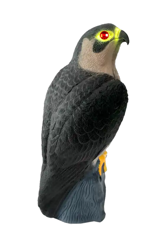 Falcon Decoy | War Bird Mfg., Inc.