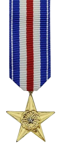 Silver Star Miniature Medal ( USCG, USMC, USN) | Military Medals ...
