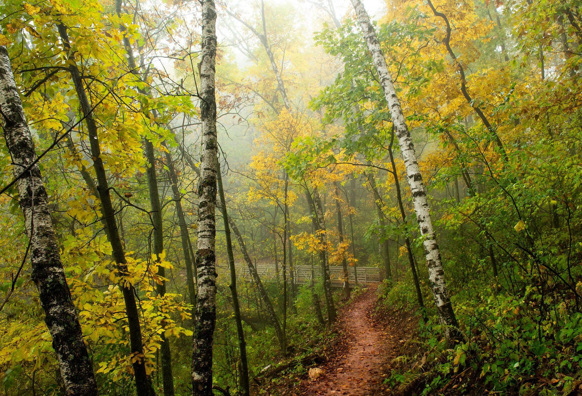 Shop | Jason Ray Photography