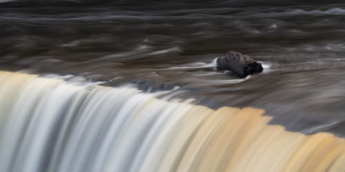 1250 - Untitled | JasonRay Photography