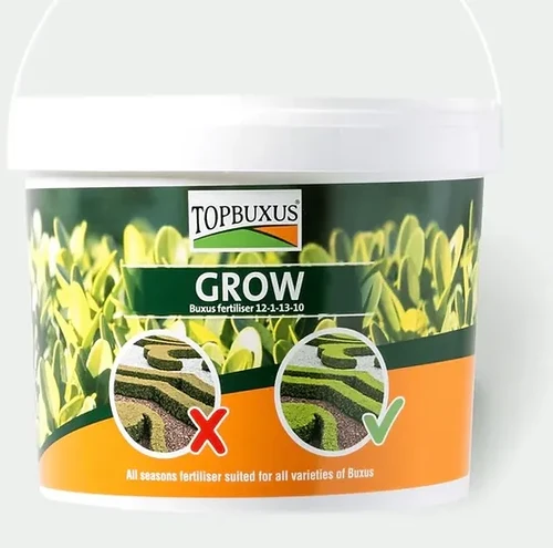 TOPBUXUS GROW 1.5kg | Ballarat Nursery
