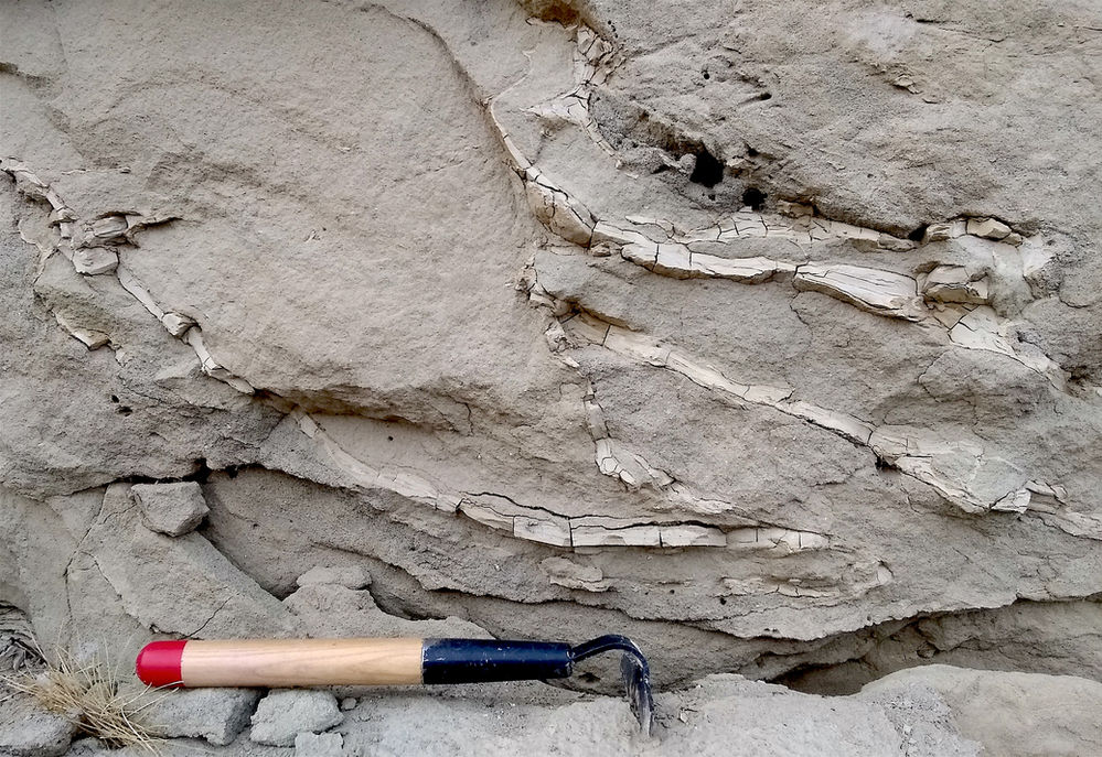 Sanpoil-style Syn-sedimentary Deformation