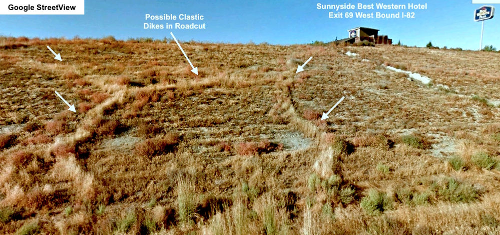 Clastic Dikes Form Polygonal Networks