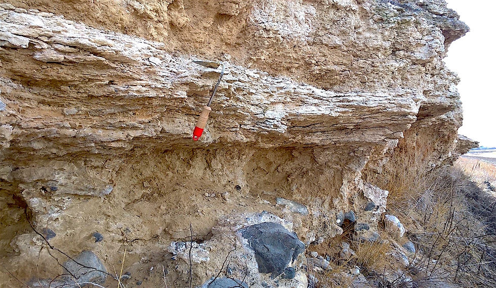 Calcrete: Friends of the Pleistocene PNW Cell 2023 - Photos from Field ...