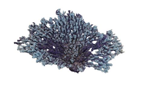 Table Top Acro Large | customcoralcreations