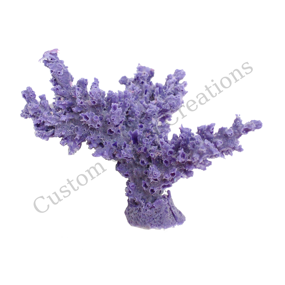Custom Coral Creations: Artificial Coral Shop 2/4
