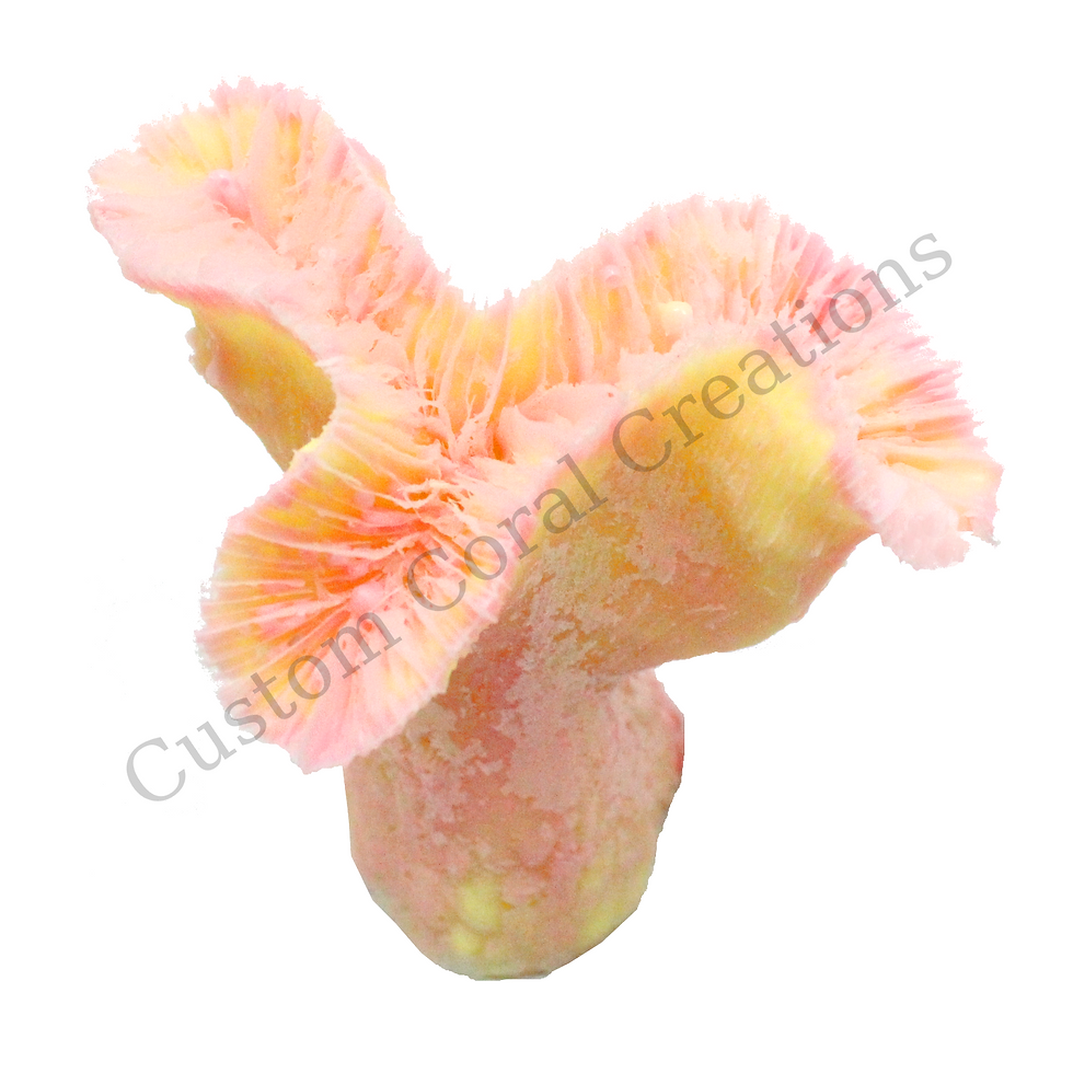 Custom Coral Creations: Artificial Coral Shop 2/4