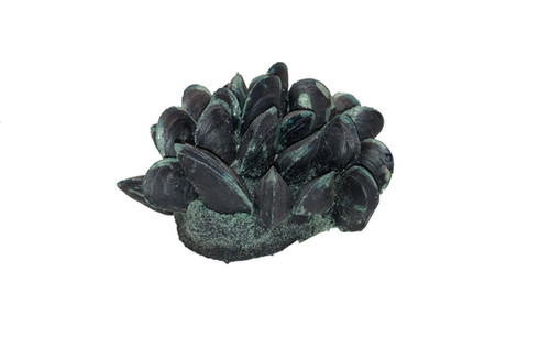 Mussel Cluster, Large Hand-Painted | customcoralcreations